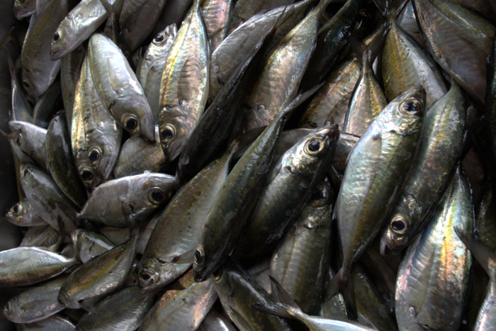 Publications :: Daniel Goll