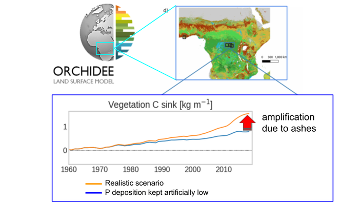Ashes from deforestation and wildfires amplify the carbon dioxide ...