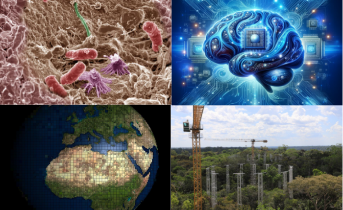 Joint PhD position: microbes and soil carbon :: Daniel Goll