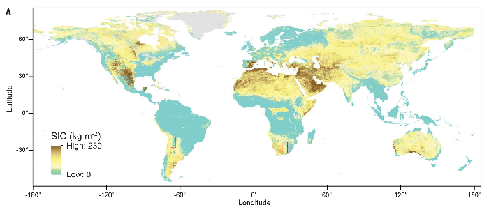 The hidden giant of the soil carbon :: Daniel Goll